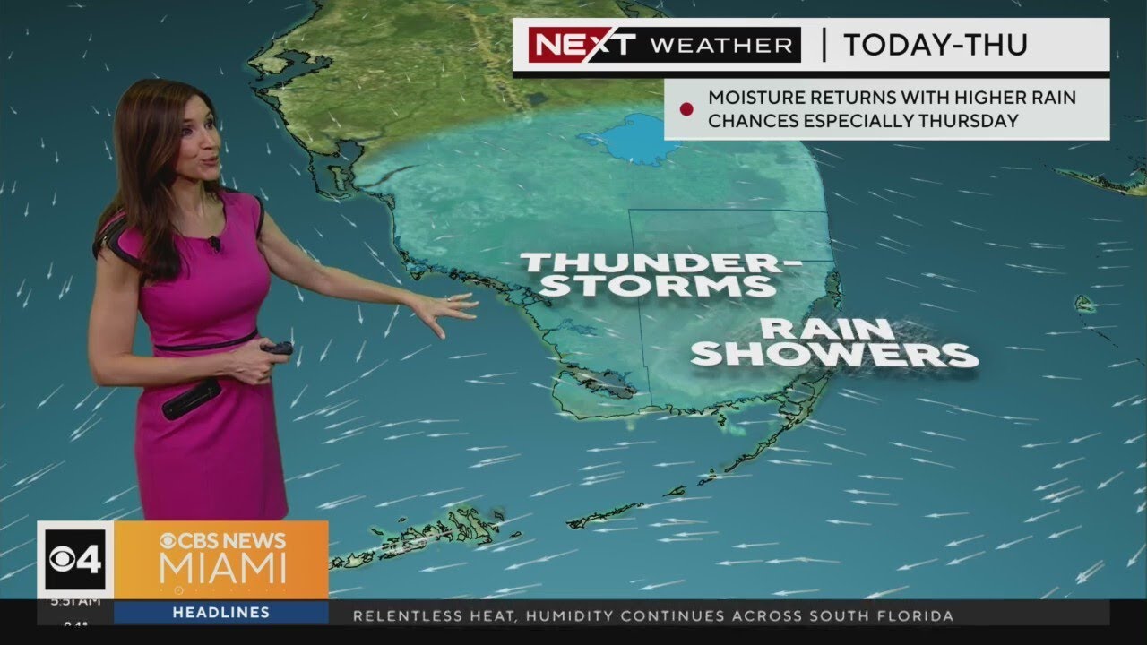 South Florida 5 a.m. Weather Forecast 8/14/2024 - YouTube