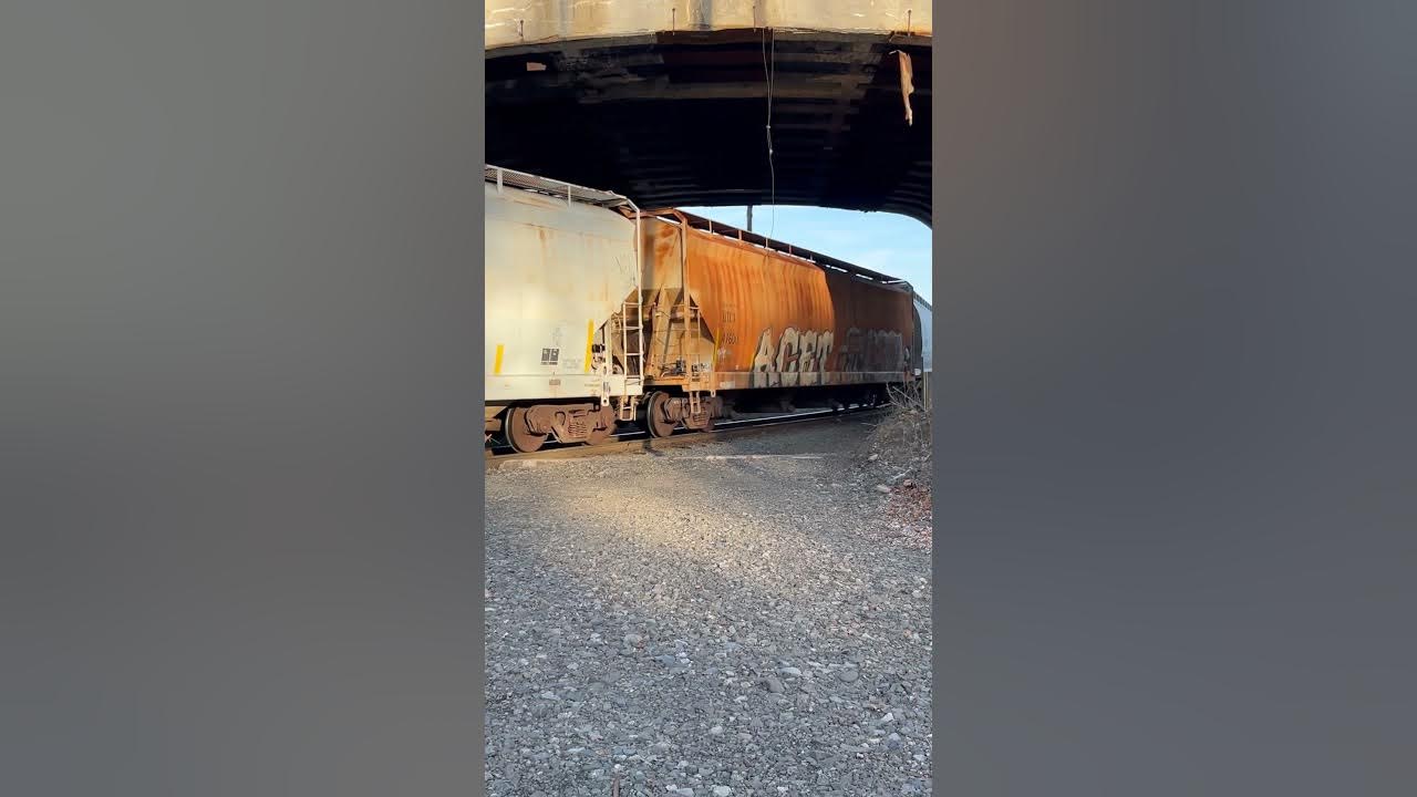 NS #6342 leads short manifest, friendly crew - YouTube