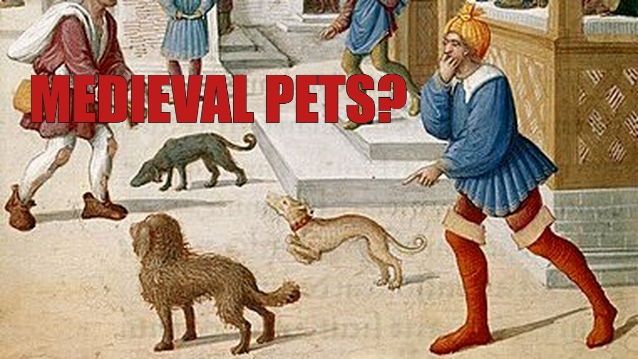 Common Medieval Pets And Animals! - YouTube