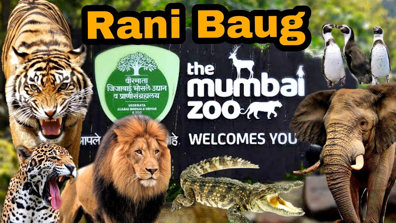 The Mumbai Zoo | Veermata Jijabai Bhosale Udyan | Rani Baug - YouTube