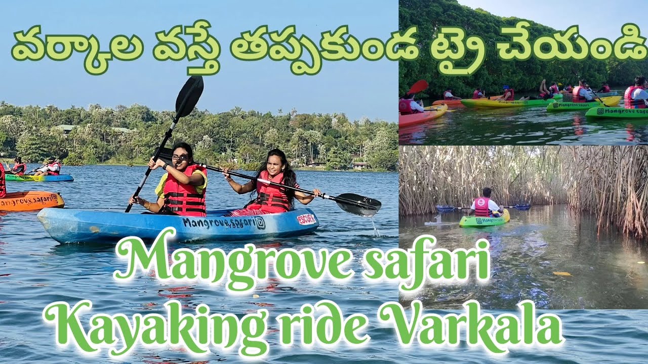 Must try kayaking in Varkala | mangrove forest #kayaking # ...