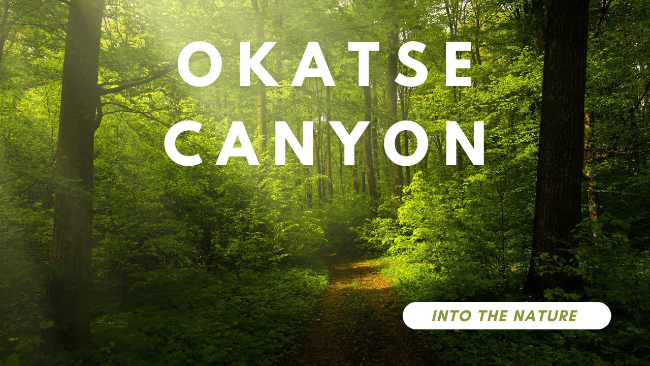 Exploring the Natural Beauty of Okatse Canyon in Georgia - YouTube