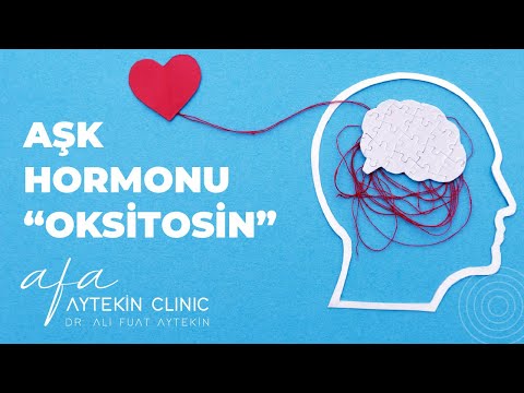 Aşk Hormonu \