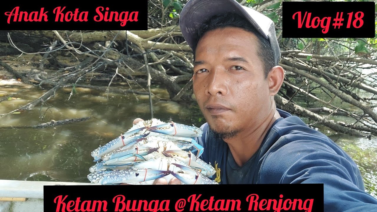 #18 ketam renjong@ketam bunga dgn tutorial mengikat ketam. - YouTube