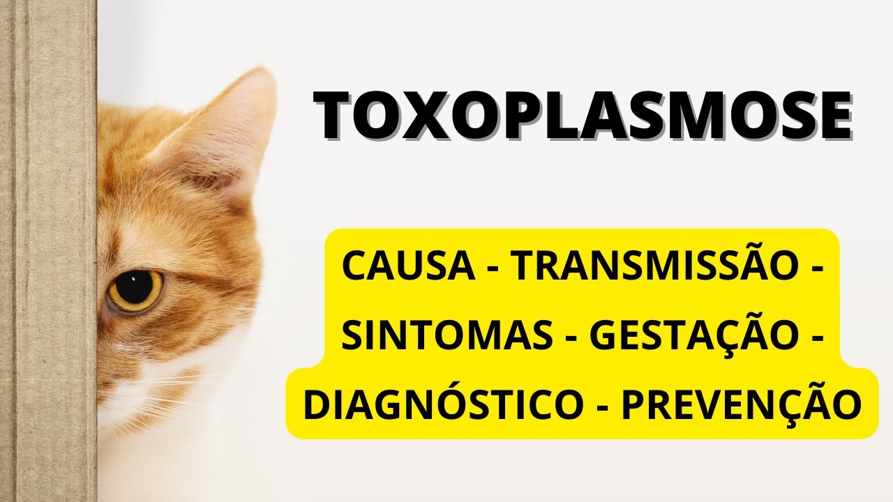 Sintomas Da Toxoplasmose Na Gravidez - NAZAEDU