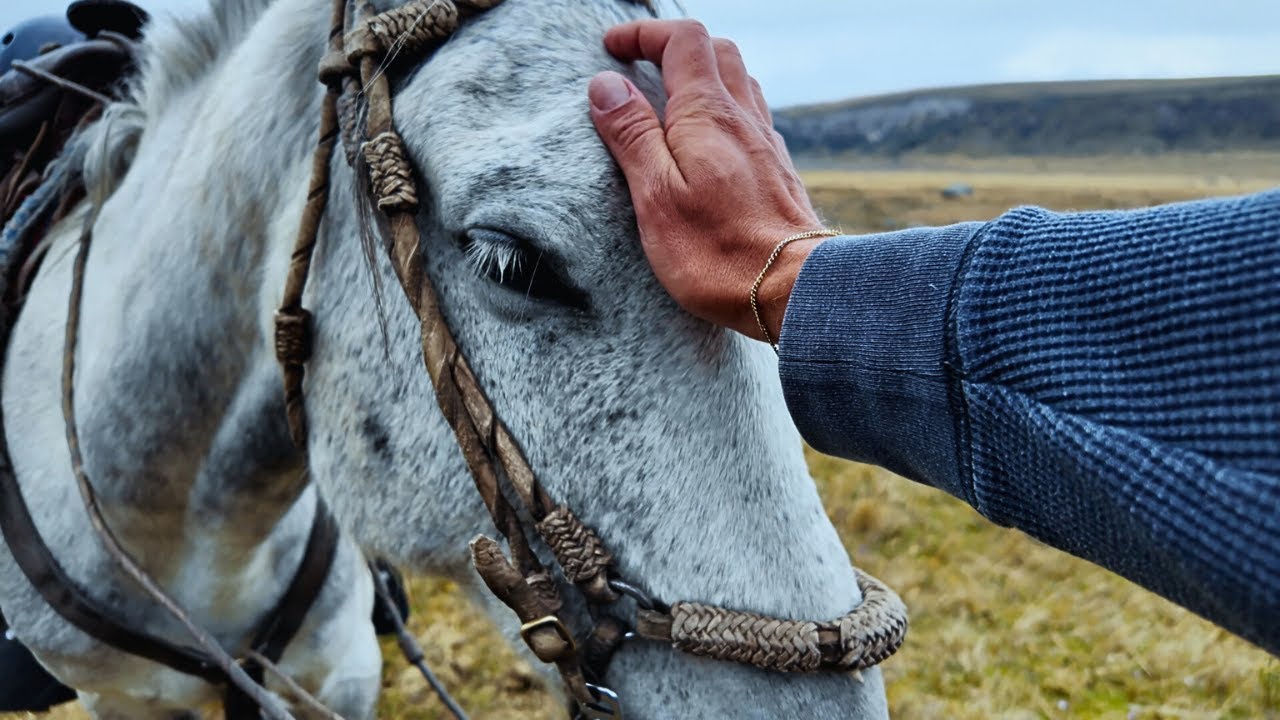Horseback Riding Through the Andes Mountains (DJI Osmo Pocket 3) - YouTube
