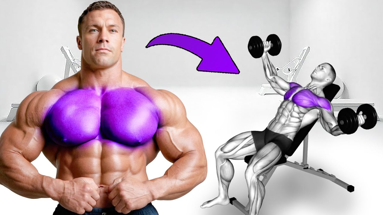 Ideal Chest Exercises to Build Bigger Pectoral Muscles - YouTube