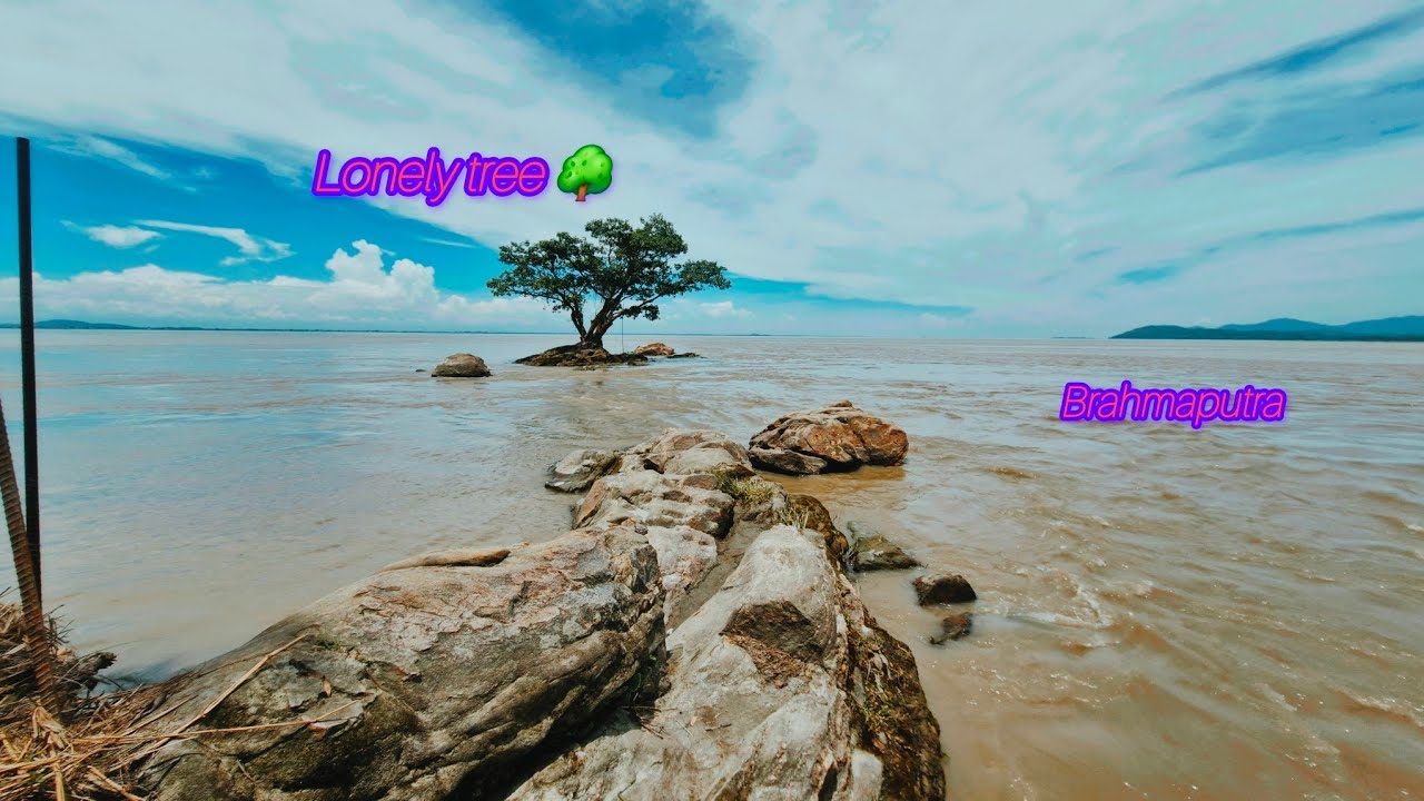 😔मैं हो गया भावुक Beauty of Assam/ The Lonely Tree of Assam, in ...