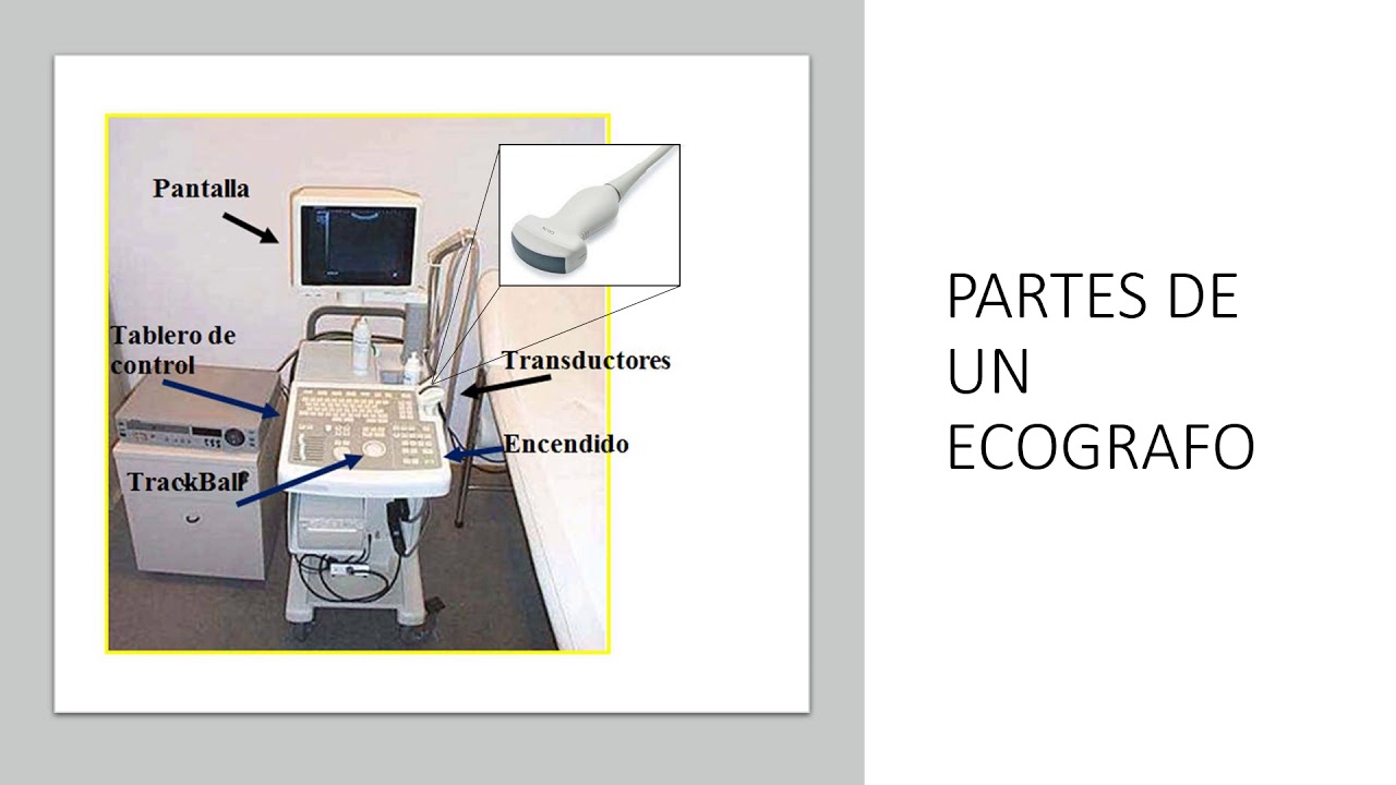 ECOGRAFO Y ECOCARDIOGRAFO - YouTube