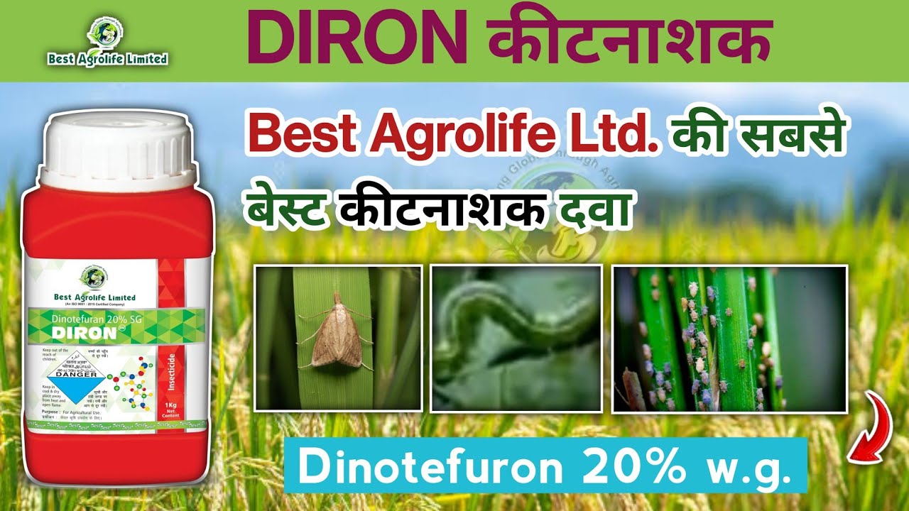 diron insecticide | best agrolife | dinotefuron 20% w.g. | poori ...