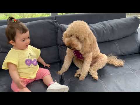 Sefika kopeyi yedirdir baby