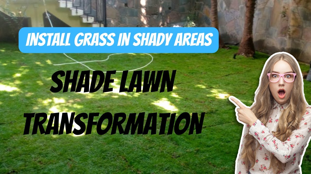 How to Install Grass in Shady Areas: Shade Lawn Transformation - YouTube