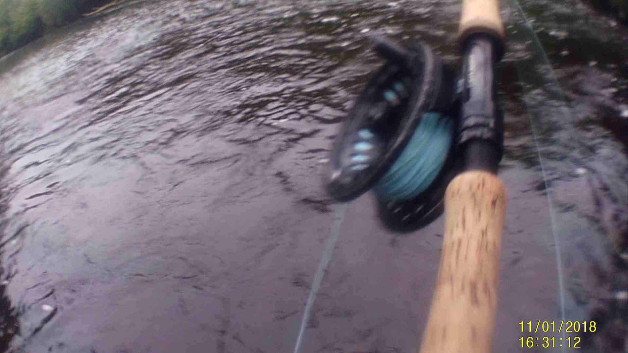 RIVER CLYDE SALMON FLY FISHING FIRST TIME USING GO PRO - YouTube