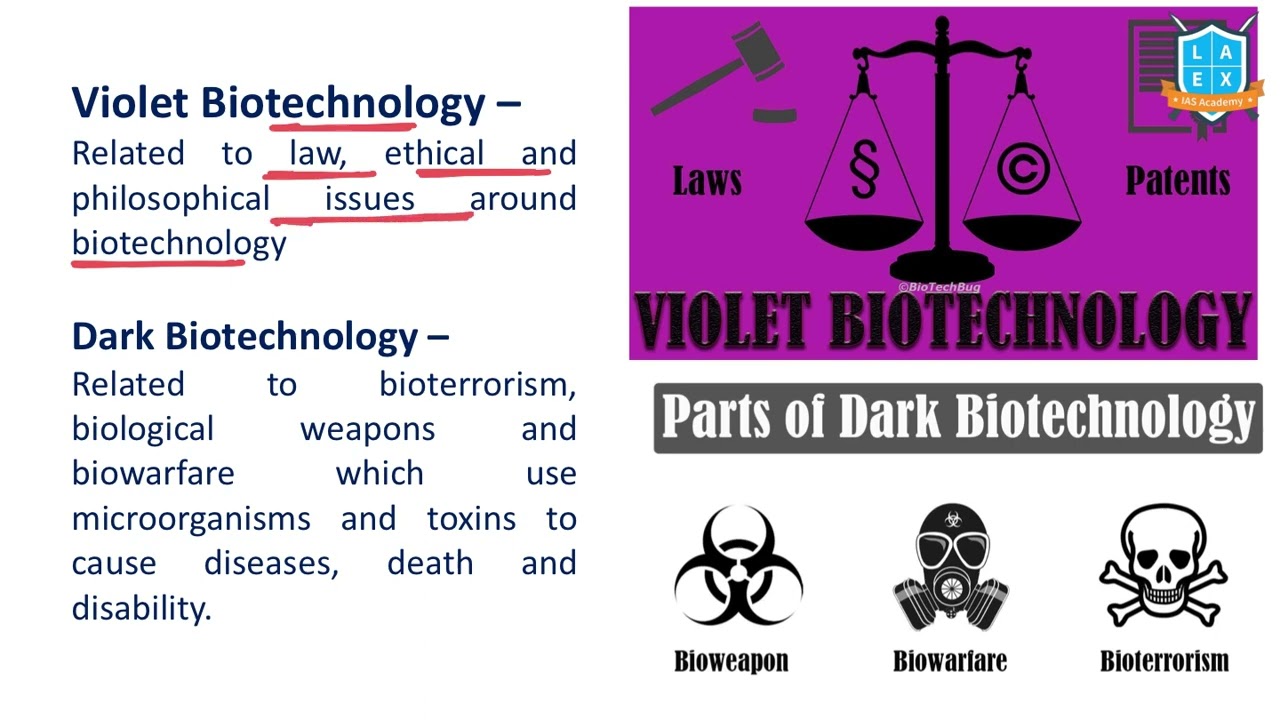 What is Violet and Dark Biotechnology ?| Violet and Dark Biotechnology ...