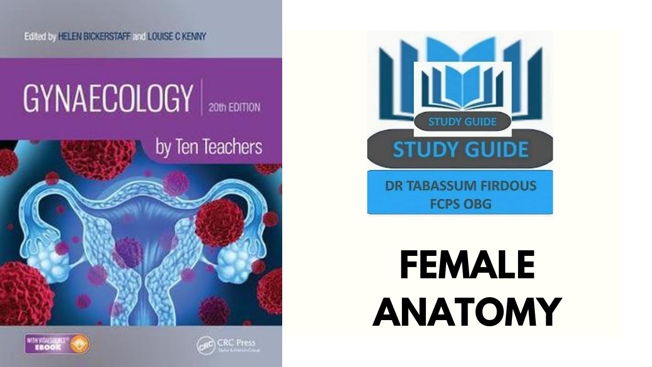 FEMALE ANATOMY - YouTube