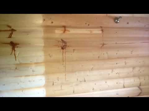 В такой бане ОПАСНО мыться! Все полы СГНИЛИ! Исправляем чужие косяки