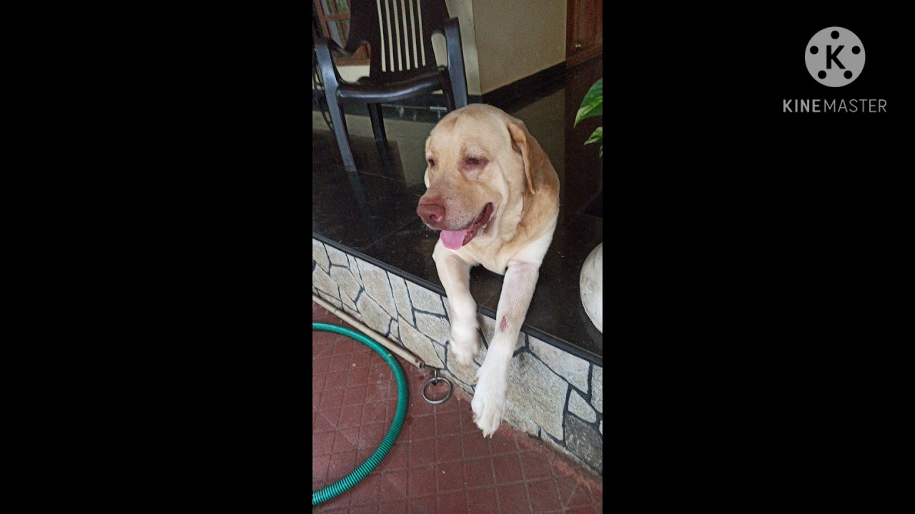 Booyi...my love.. - YouTube