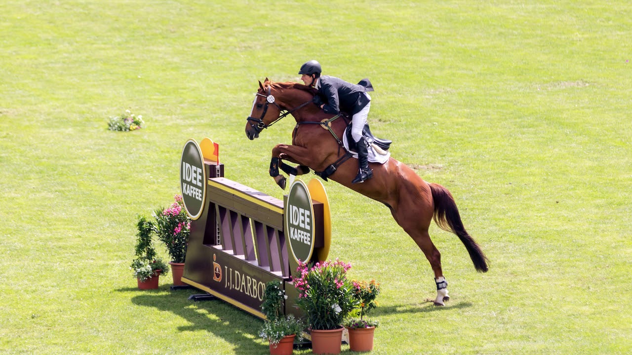 Hamburger Derby 2017 - Stephan Dubsky & Palm Beach - YouTube