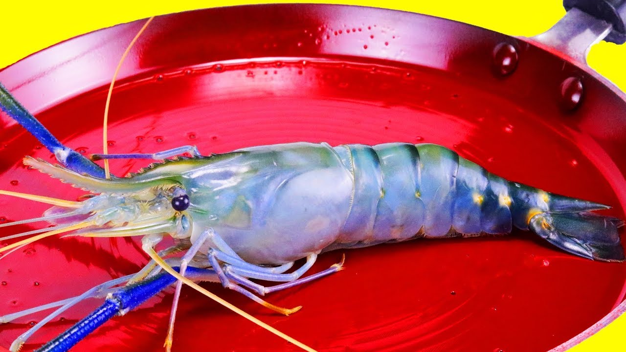EXPERIMENT Glowing 1500 Degree PAN vs PRAWN FISH Cooking - YouTube