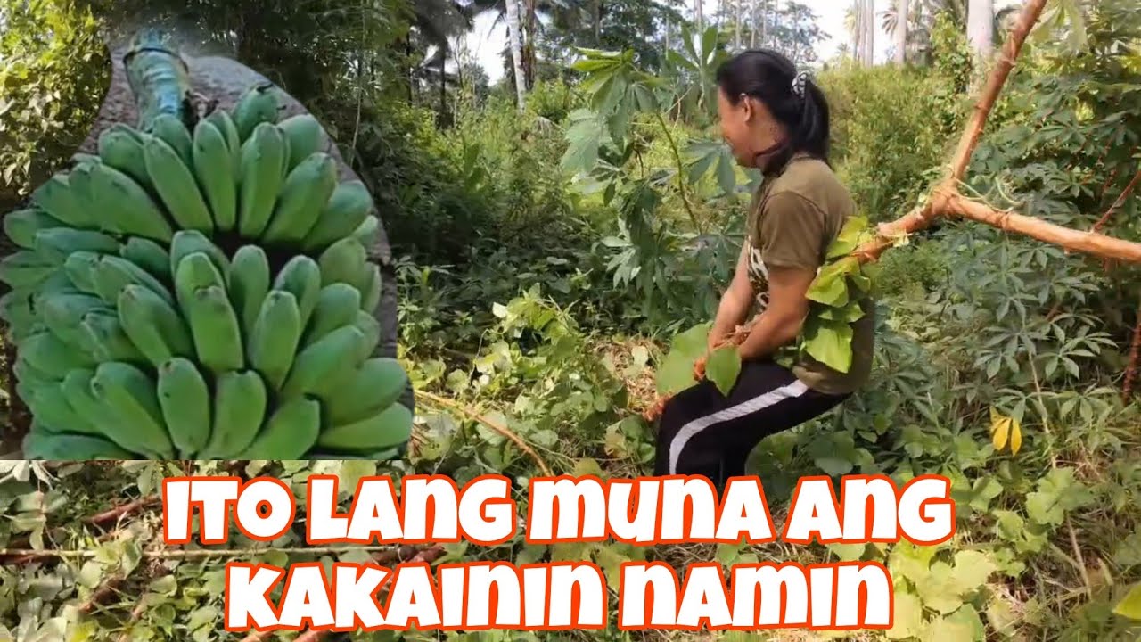 saging at kamanting ang baon ni Danica #japersniper - YouTube