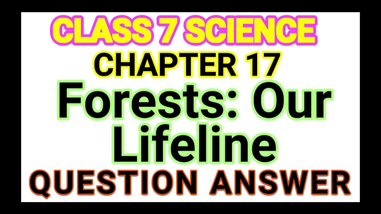 CLASS 7 SCIENCE CHAPTER 17 FORESTS OUR LIFELINE QUESTION ANSWER - YouTube