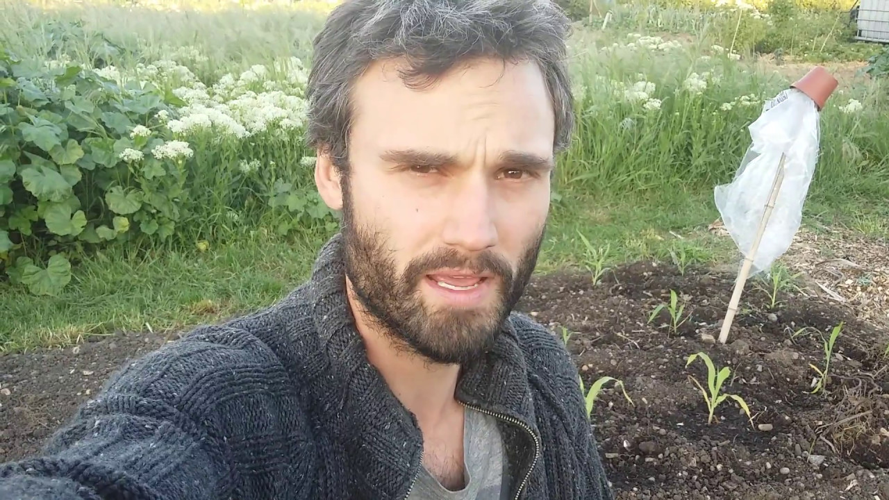 Late Spring Allotment Tour And Progress YouTube late-spring-allotment-tour-and-progress-youtube