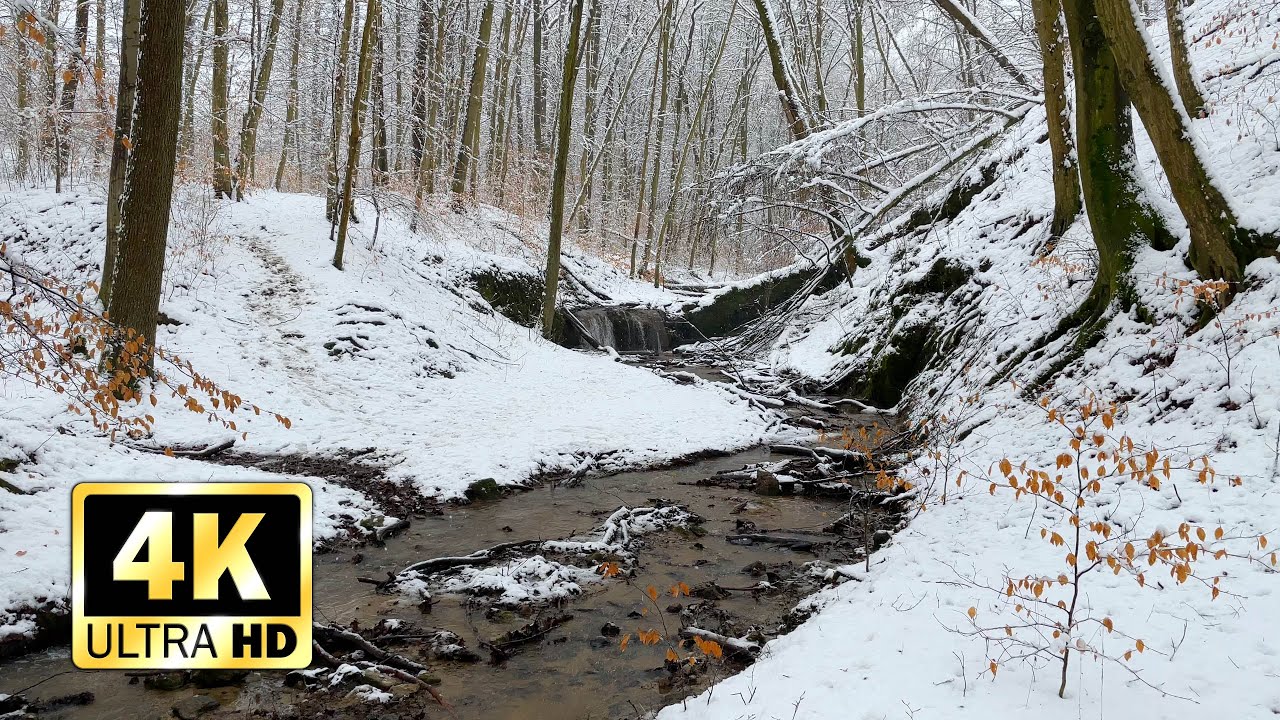 Snowy Winter Forest Scene with Waterfall and Relaxing Water Sounds - 4K ...
