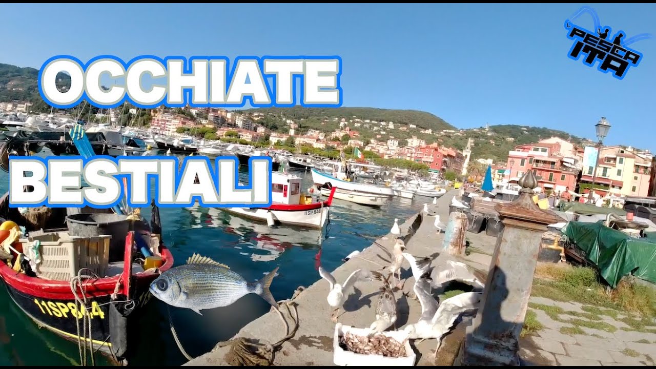 Pesca ITA- Pasturazione pesante occhiate bestiali a Lerici - YouTube