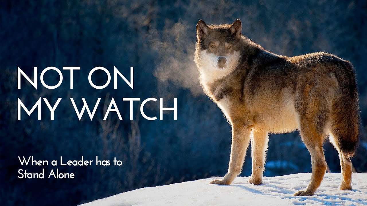 Not on My Watch || When the Leader Has to Stand Alone - YouTube