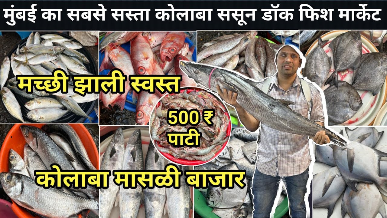 Mumbai Sassoon Dock Colaba | Sassoon Dock Fish Market | Mumbai Colaba ...