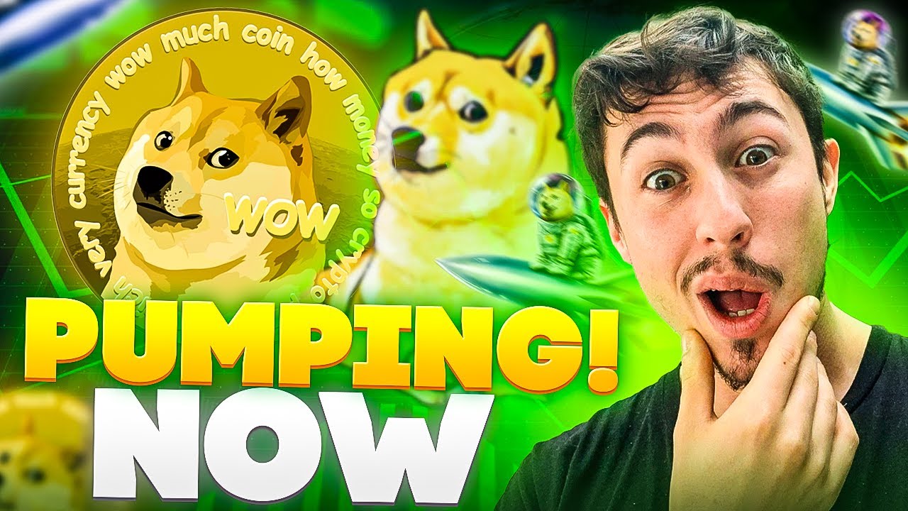 DOGECOIN INSANE PUMP | DOGE CRYPTO NEXT TARGET $0.51? Elon Musk Pumping ...