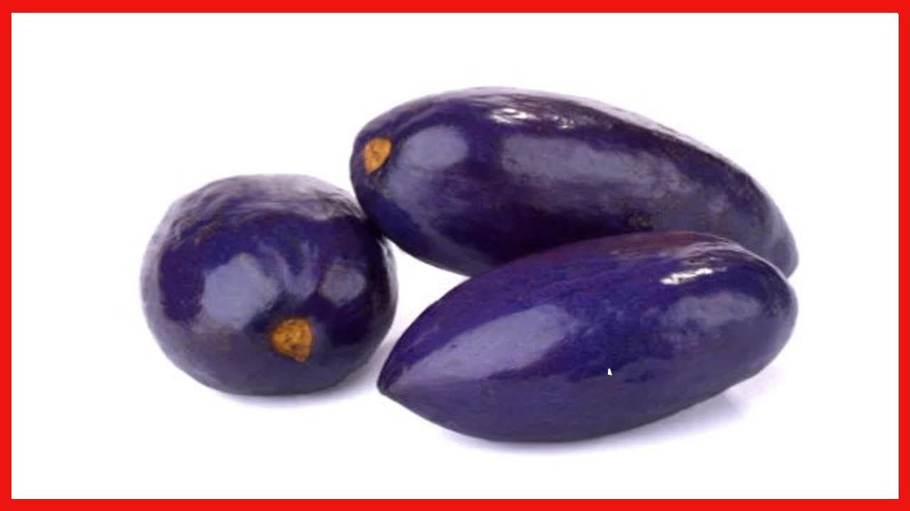 Prunus africanum ou prunier d'Afrique : utilisations, bienfaits et ...