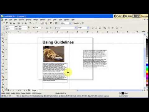 Creating guidelines | Tutorial corel draw - YouTube