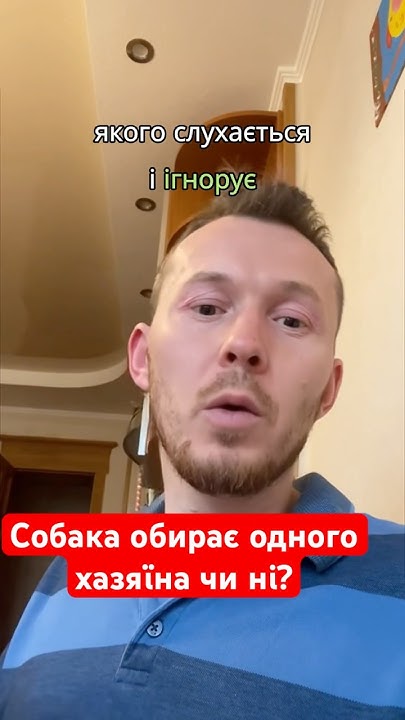 Собака обирає одного хазяїна чи ні зоопсихолог психолоія кінолог