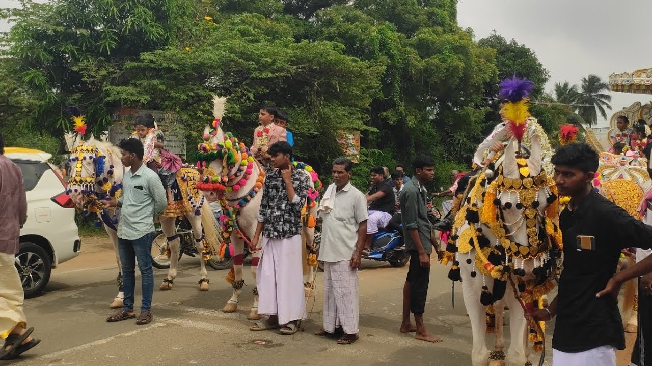 𝗠𝗮𝗿𝗿𝗶𝗮𝗴𝗲 𝗽𝗿𝗼𝗴𝗿𝗮𝗺 𝗩𝘀𝗺 𝗛𝗼𝗿𝘀𝗲𝘀 𝗔𝘃𝗮𝗻𝗮𝗺⚡𝗞𝗼𝗼𝘁𝗵𝗮𝗻𝗮𝗹𝗹𝘂𝗿 𝗠𝘂𝘀𝗹𝗶𝗺 𝗔𝘀𝘀𝗼𝗰𝗶𝗮𝘁𝗶𝗼𝗻 𝗗𝘂𝗽𝘀 ...