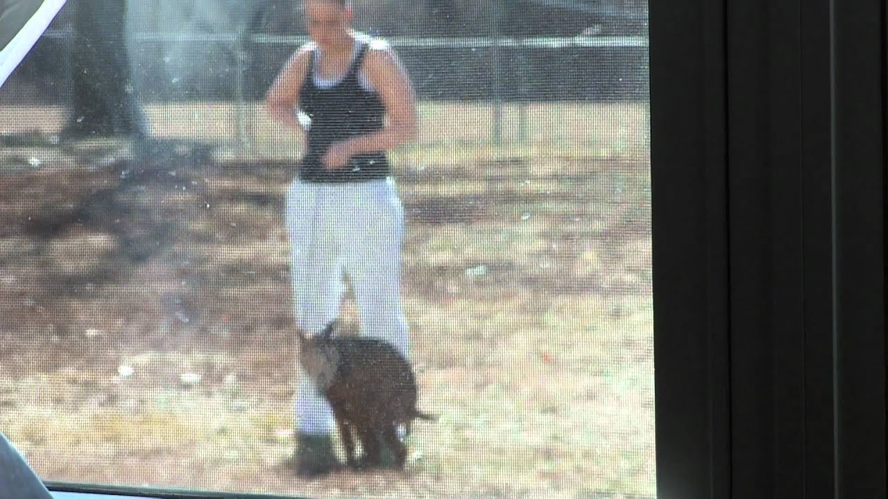 My rude neighbors - YouTube