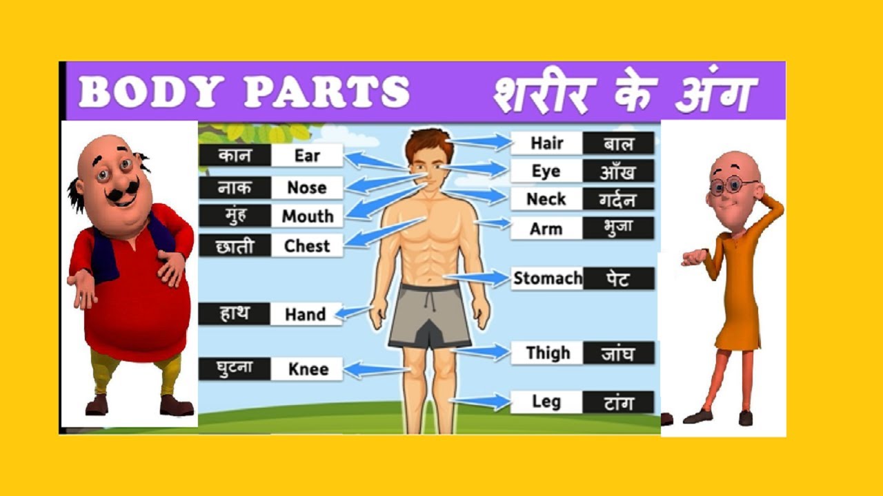 Body Parts Name Body Parts Name In English And Hindi body-parts-name-body-parts-name-in-english-and-hindi