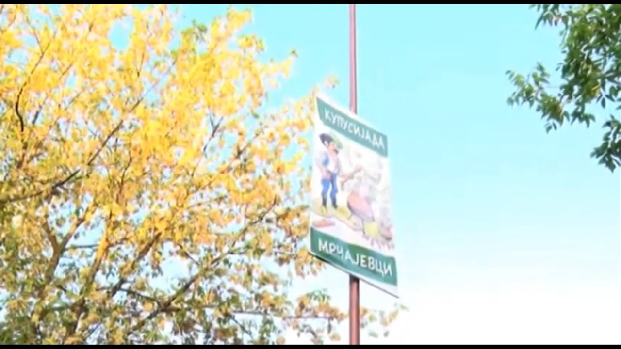 TV Telemark - DVADESETA KUPUSIJADA ZA VIKEND U MRČAJEVCIMA 14 09 2023 ...