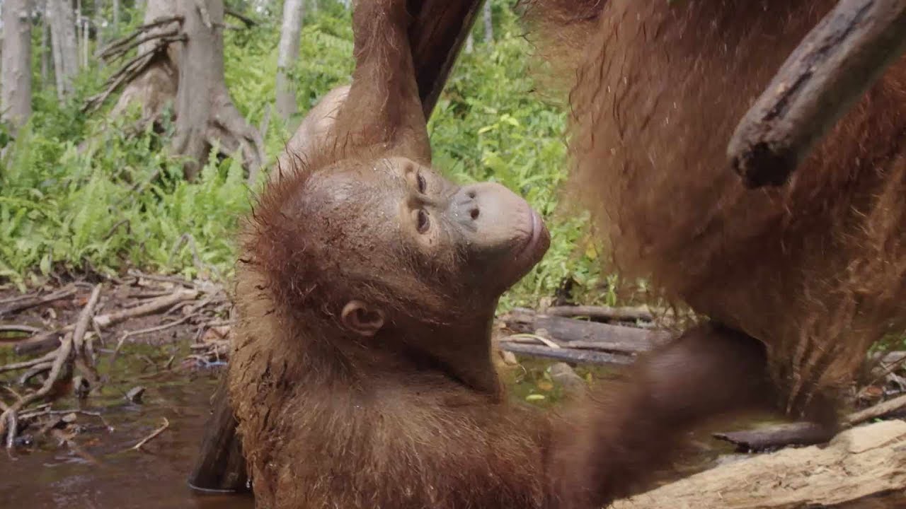 Beni's Valuable Lesson - YouTube