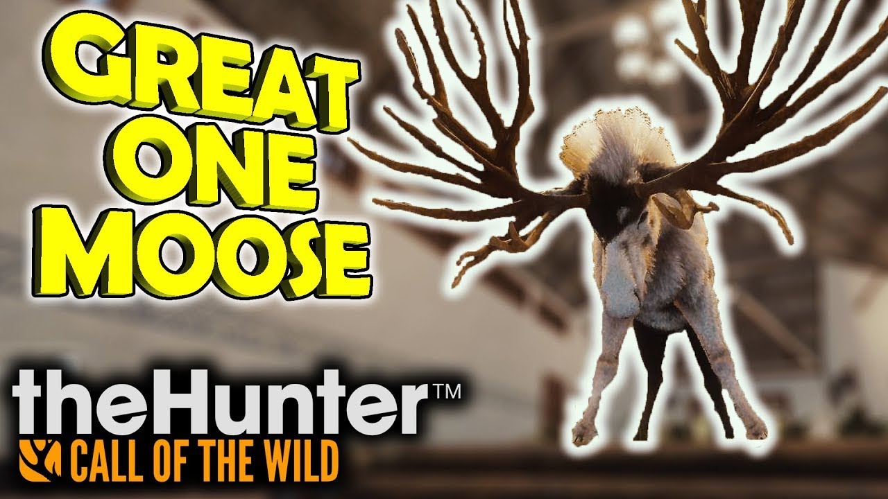 HUNTING GREAT ONE MOOSE! #THCOTW #COTW #THEHUNTER - YouTube