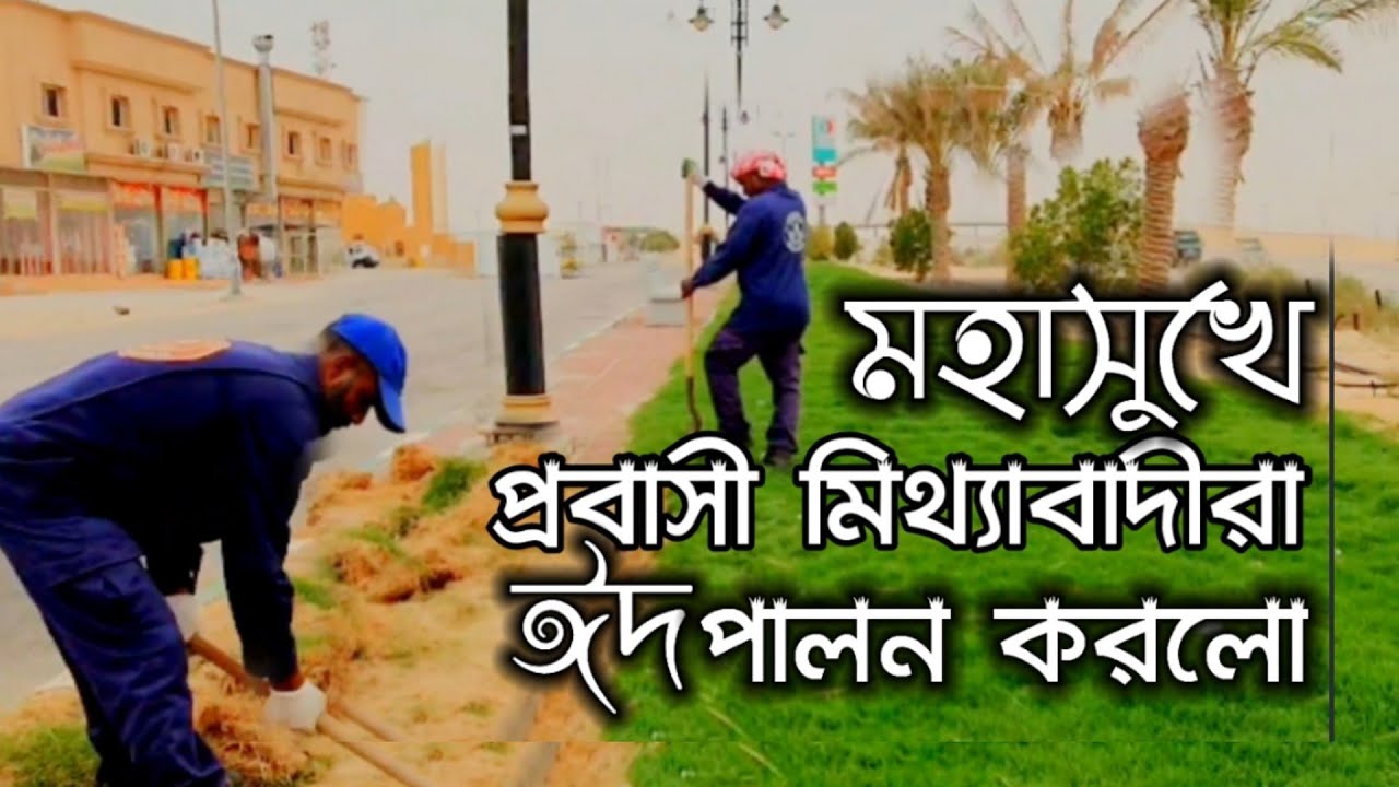 এত কিছুর মধ্যেও প্রবাসী মিথ্যাবাদী গুলো ঈদ পালন করছে, কি করে পারলো এমন ...