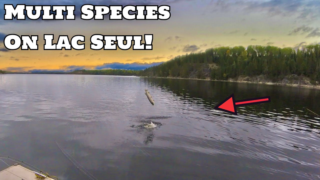 EPIC DAY of MULTI SPECIES FISHING the GREAT LAC SEUL!! (Giant Pike and ...