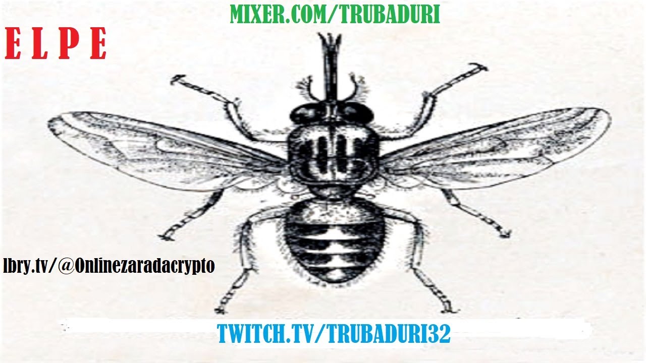 Debilizam - CC muva - YouTube