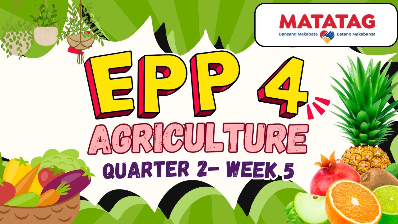EPP 4- AFA- Quarter 2 Week 5- Pagpili ng Tanim: Halamang Ornamental ...