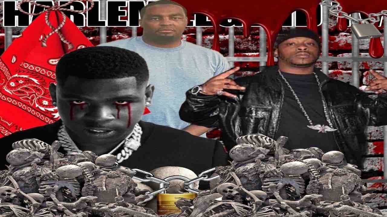 IS NYC BLOOD HOUND BRIM EX-GANG LEADER, LA BRIM GONNA START SNITCHING ...