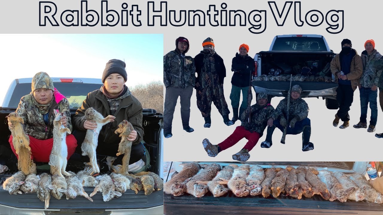 Rabbit Hunting | VLOG. 1 - YouTube