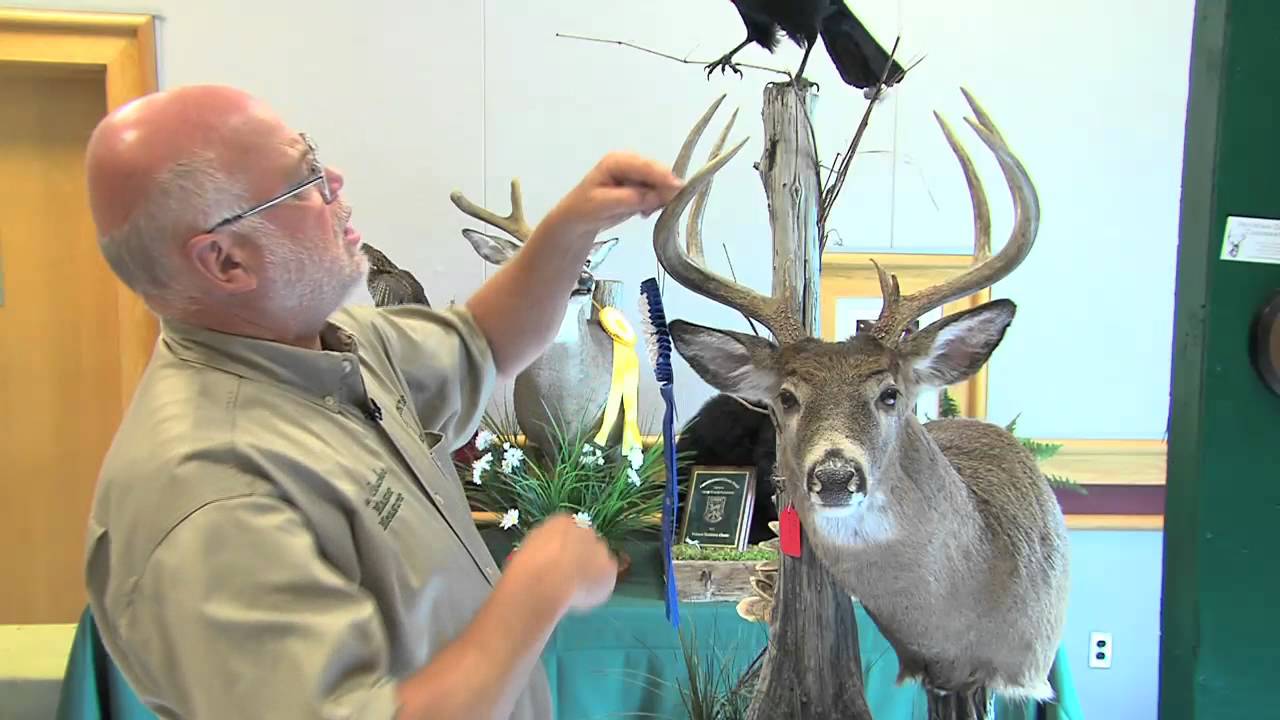 Measuring White-Tailed Deer - YouTube
