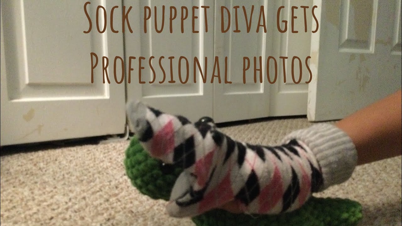 Sock puppet diva gets professional photos taken by famous photographer ...