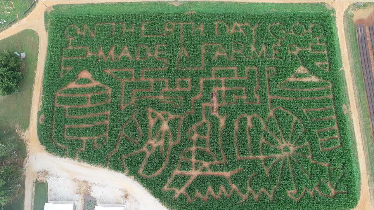 Southern Belle Farm Corn Maze Reveal 2018 - YouTube