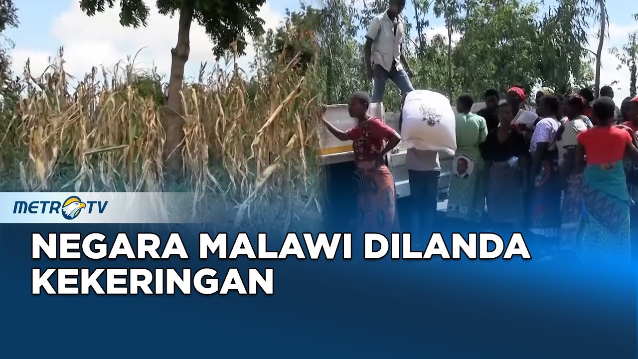 Negara Malawi Dilanda Kekeringan - YouTube